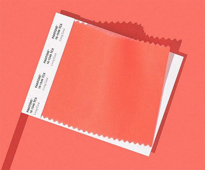 Living Coral is Pantone’s 2019 Color of the Year – Are You a Fan ...